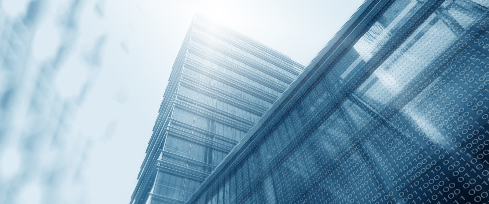 Partners | Netsync | Company