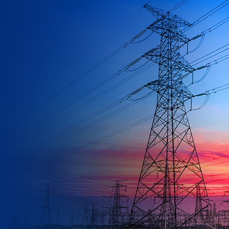 Multi-Service Platforms | Netsync | Services