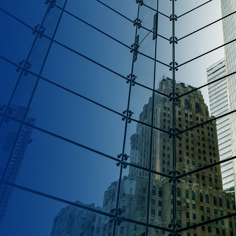 Netsync | SAVANT | Services