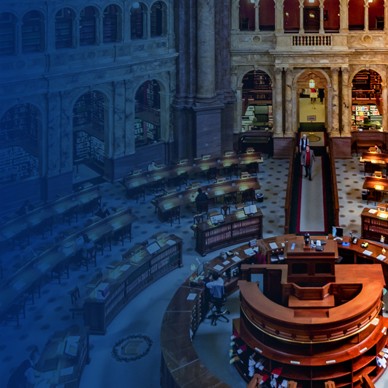 Netsync | SAVANT | Services