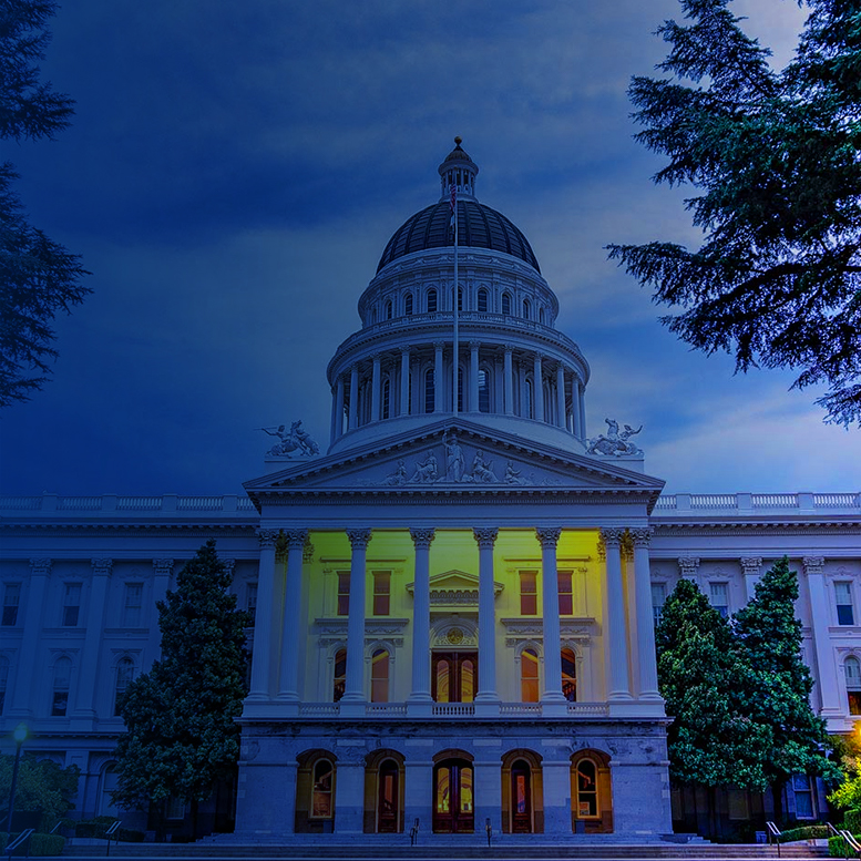 Netsync | SAVANT | Services