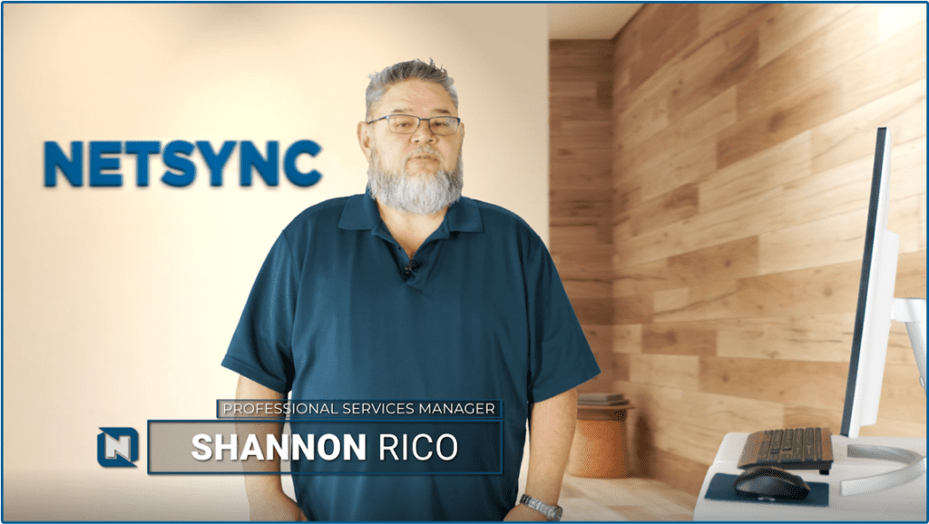 Netsync | SAVANT | Services