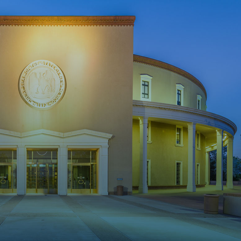 Netsync | SAVANT | Services