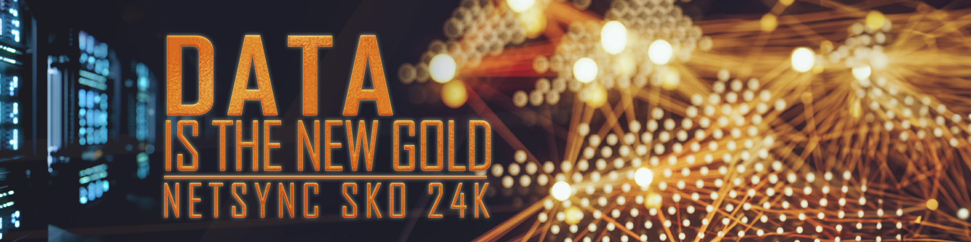 Netsync SKO 24K Activities Selection | Netsync