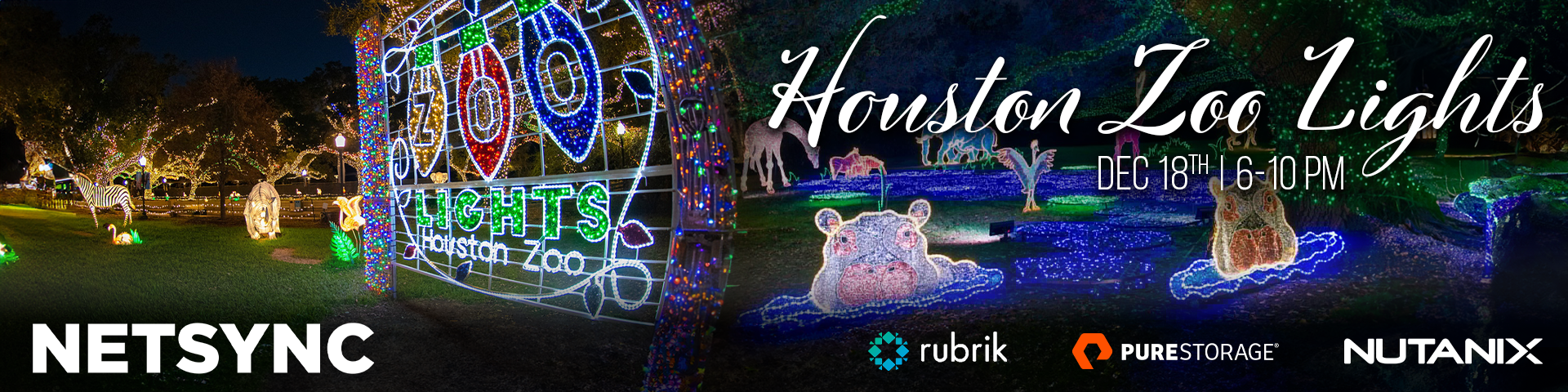 Houston Zoo Lights | Netsync